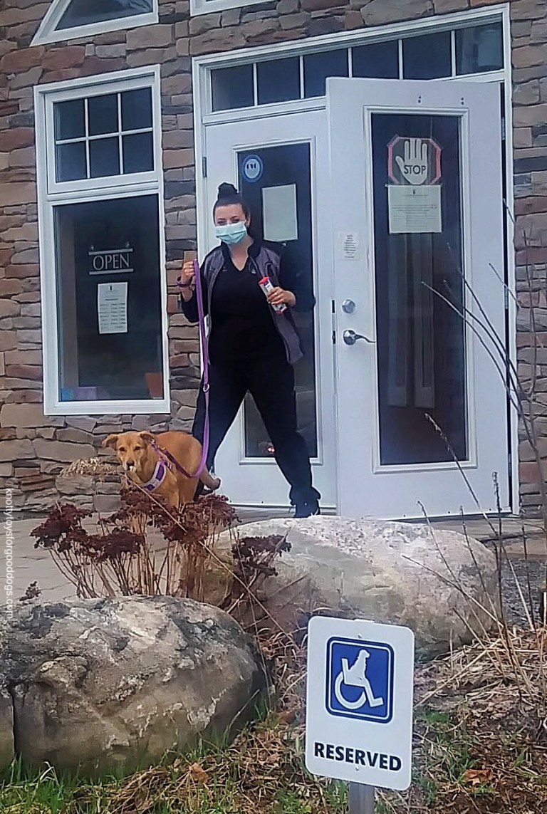 canine body maps – Knotty Toys for Good Dogs