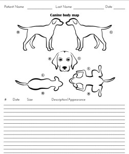 canine body maps – Knotty Toys for Good Dogs