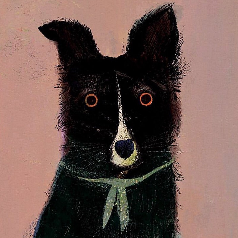 The Furtastic Paws of Artist Richard Jones – Knotty Toys for Good Dogs